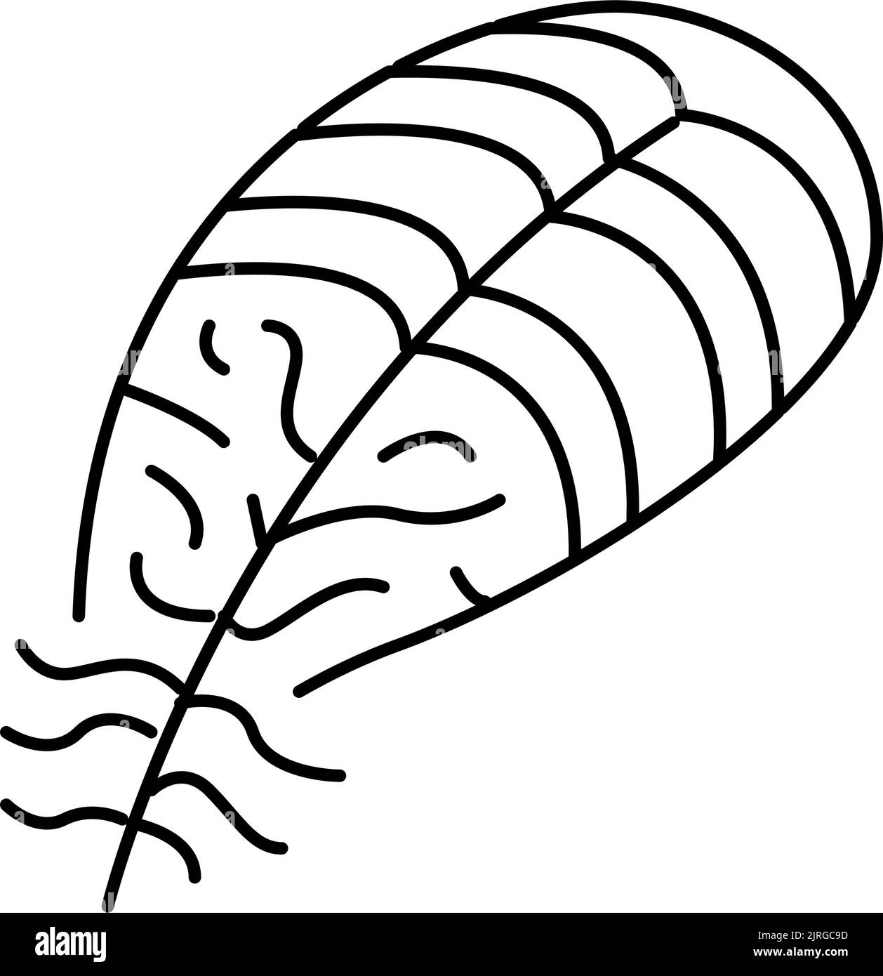 vintage feather soft fluffy line icon vector illustration Stock Vector ...