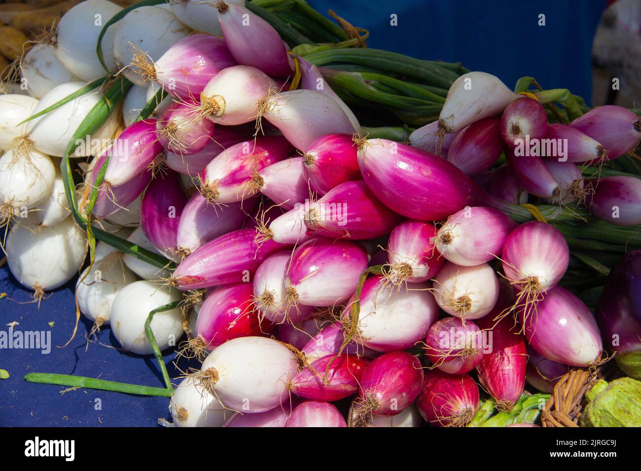 Green onions for sale hi-res stock photography and images - Alamy