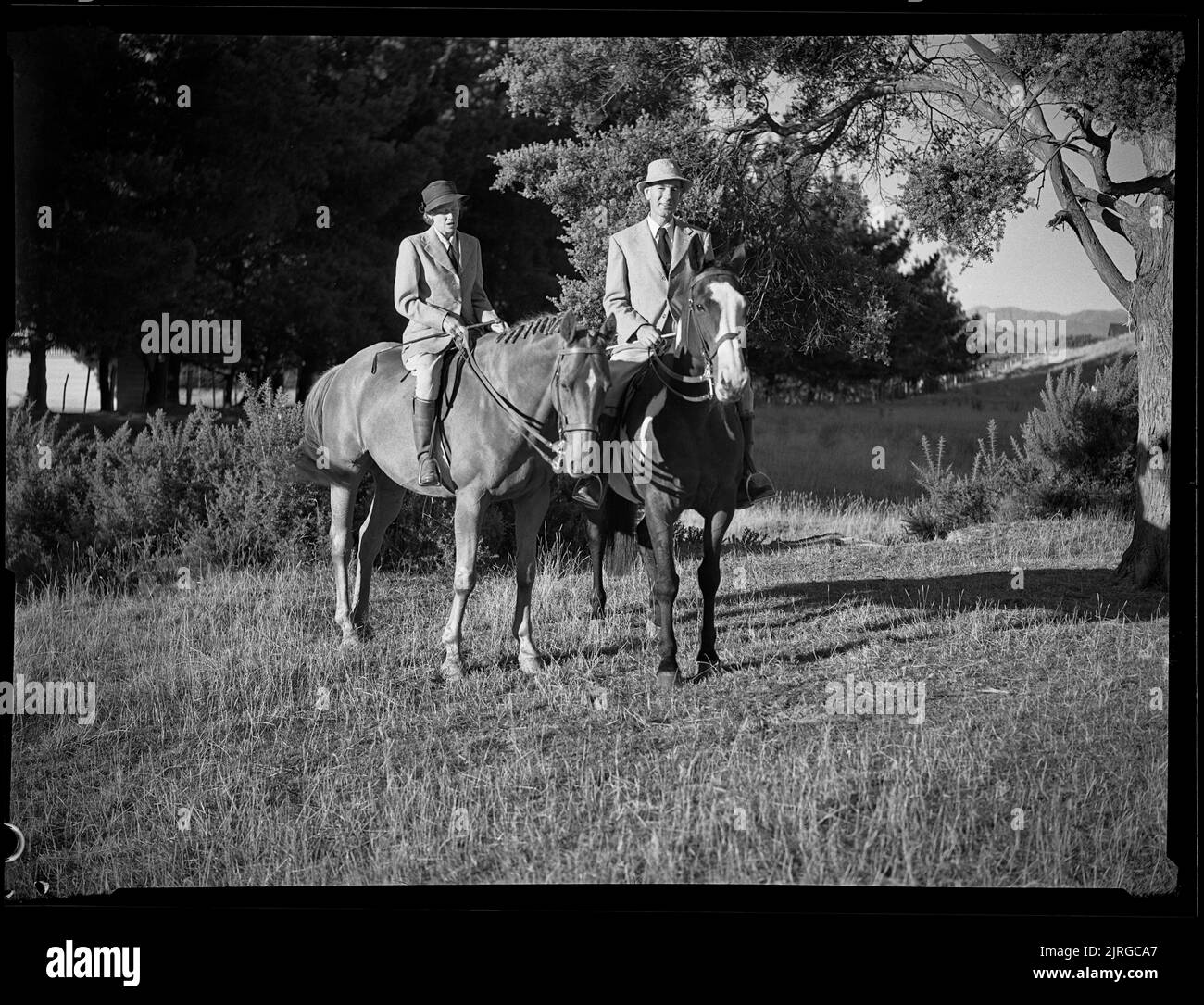 Bertram's Horses, 24 February 1951, after show, 24 February 1951, New ...