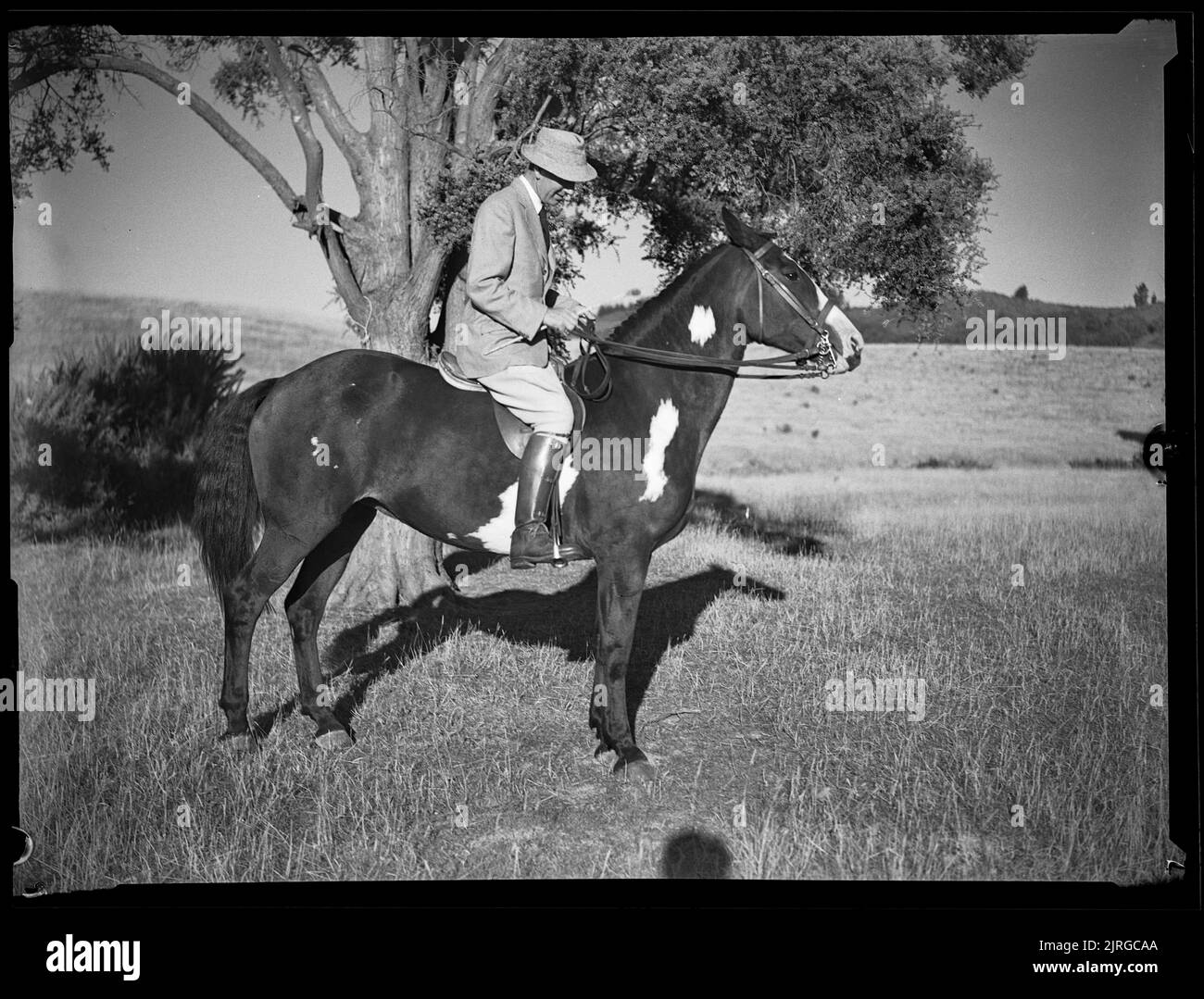 Bertram's Horses, 24 February 1951, after show, 24 February 1951, New ...
