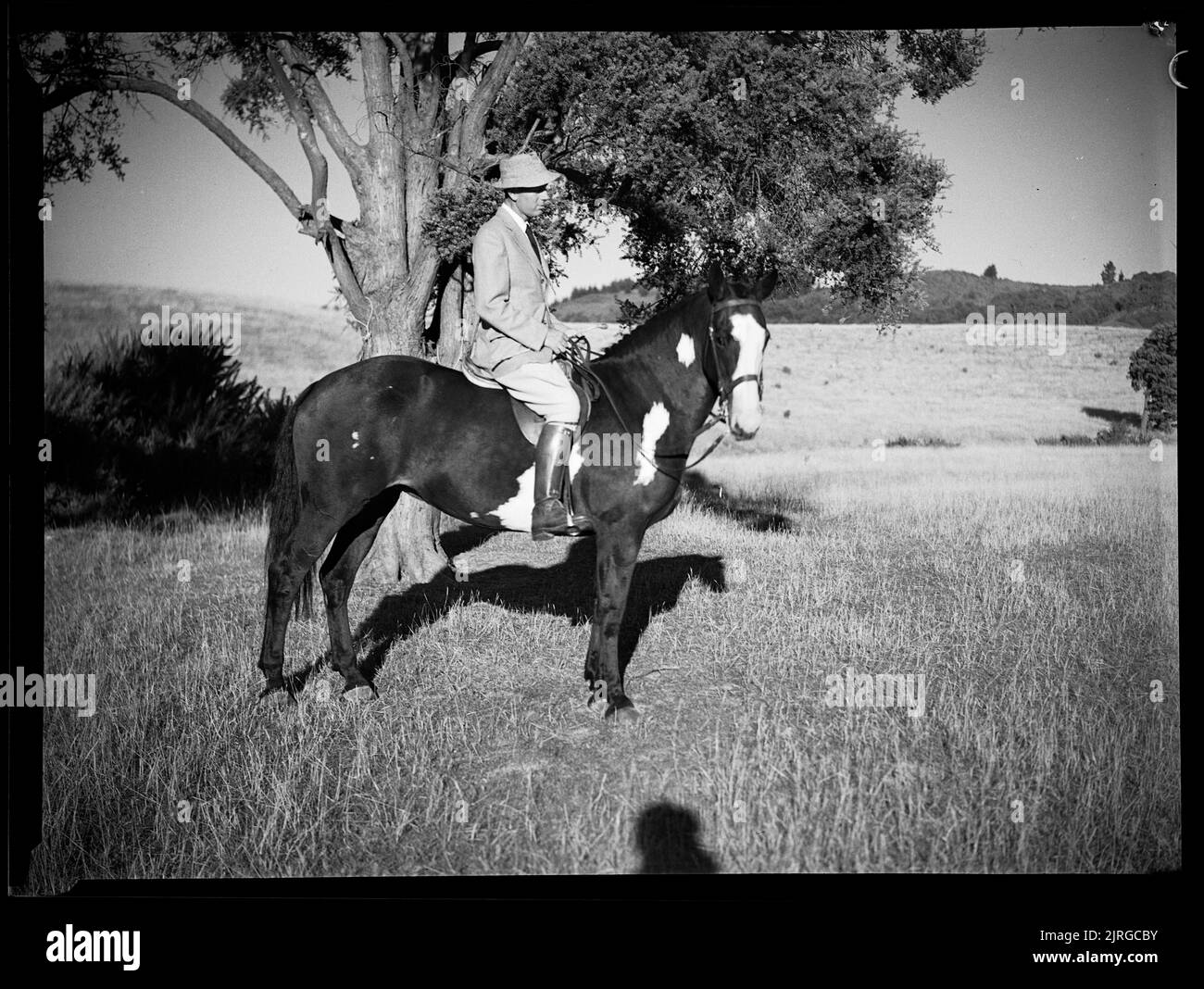 Bertram's Horses, 24 February 1951, after show, 24 February 1951, New ...