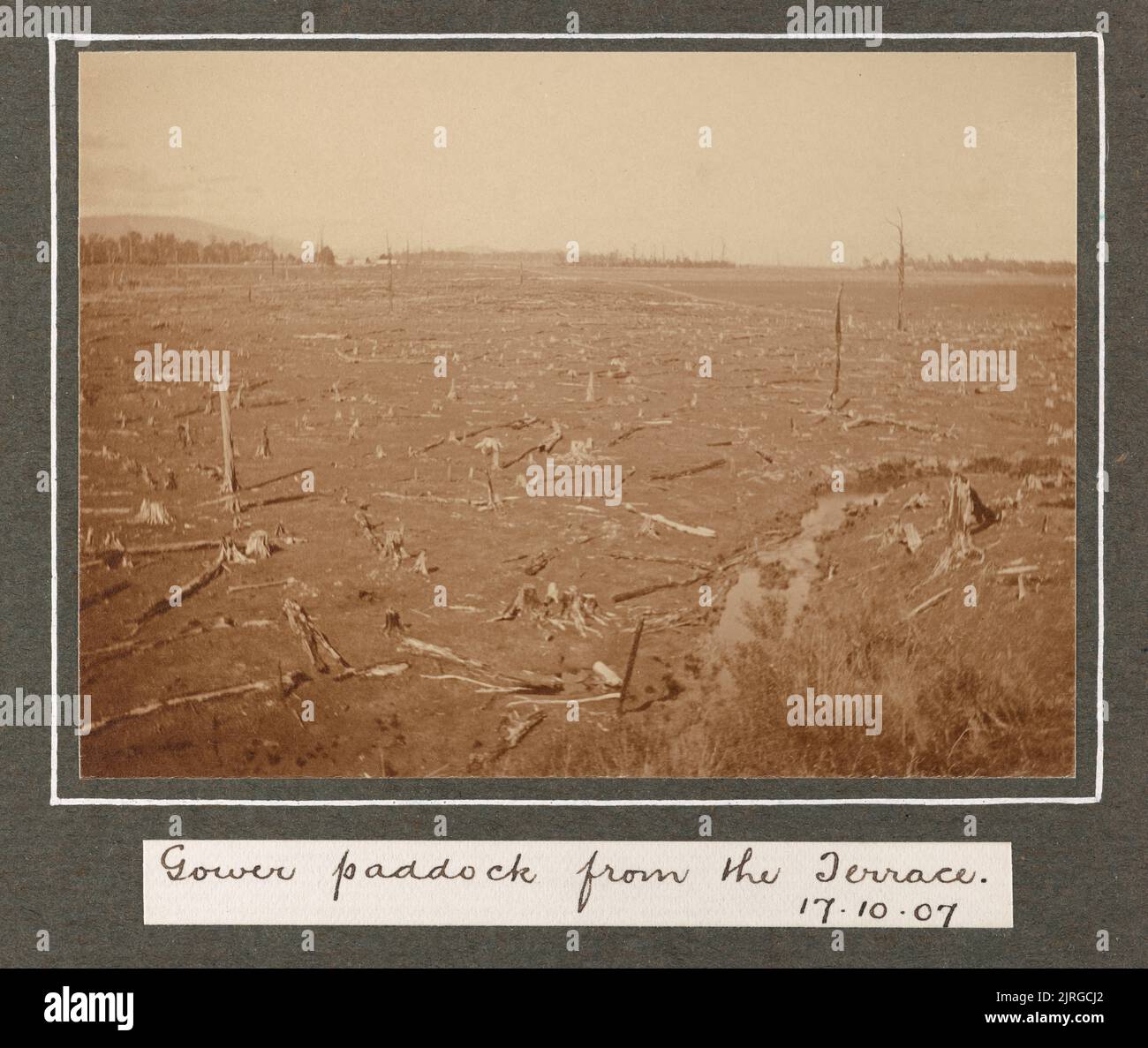Gower paddock from the Terrace, 17 October 1907. From the album: Family ...