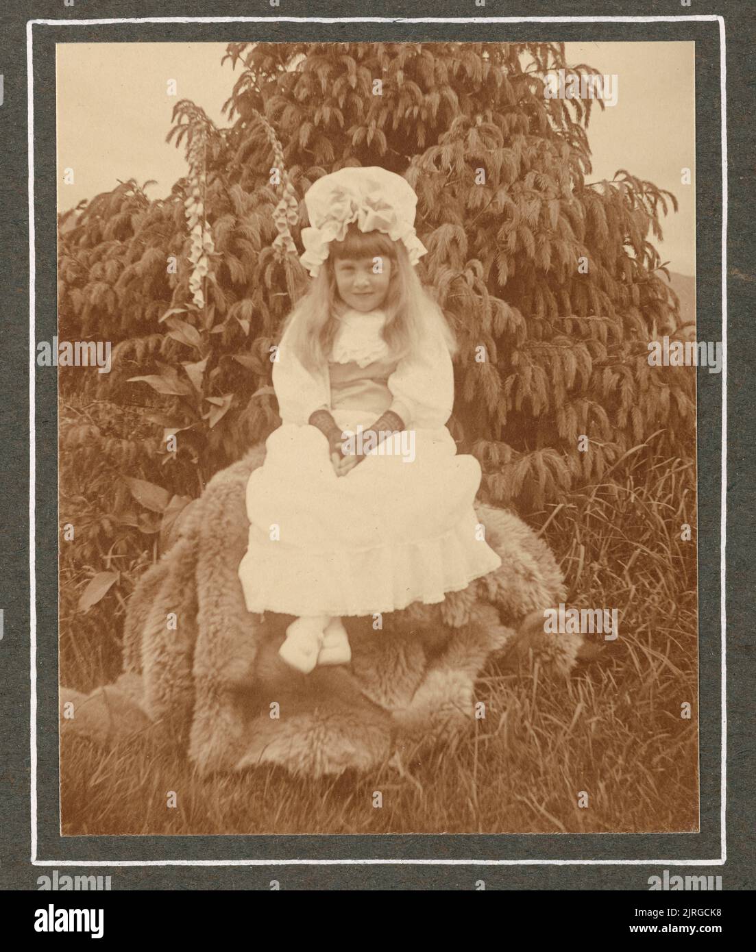 November 1907 from the album hi-res stock photography and images - Alamy
