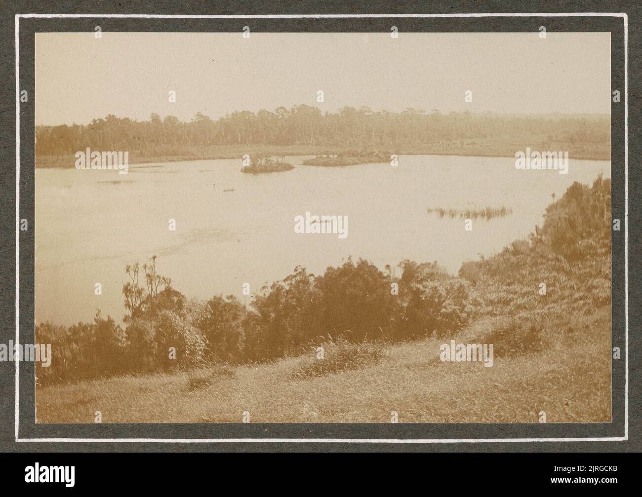 The largest islands of Lake Horowhenua - Roha o te Kawau and Waikiekie ...