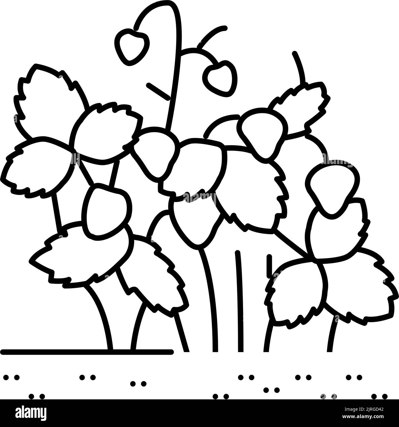 strawberry bush plant line icon vector illustration Stock Vector Image ...