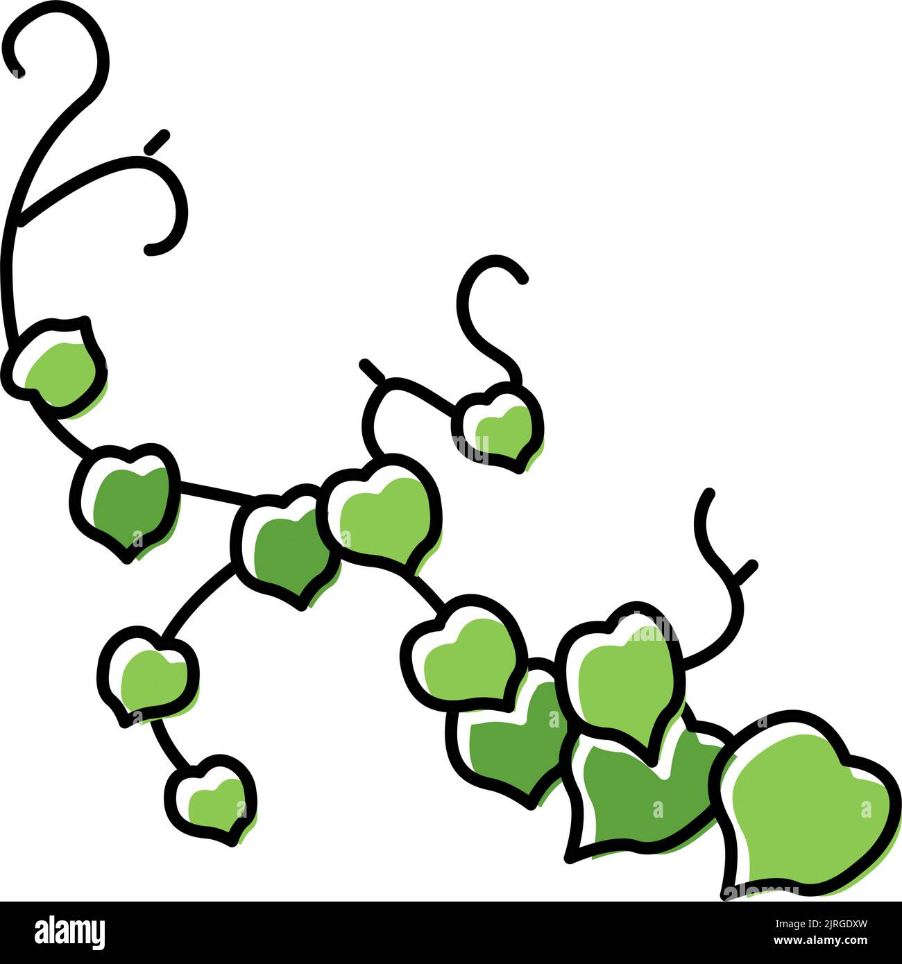 liana plant color icon vector illustration Stock Vector Image & Art - Alamy