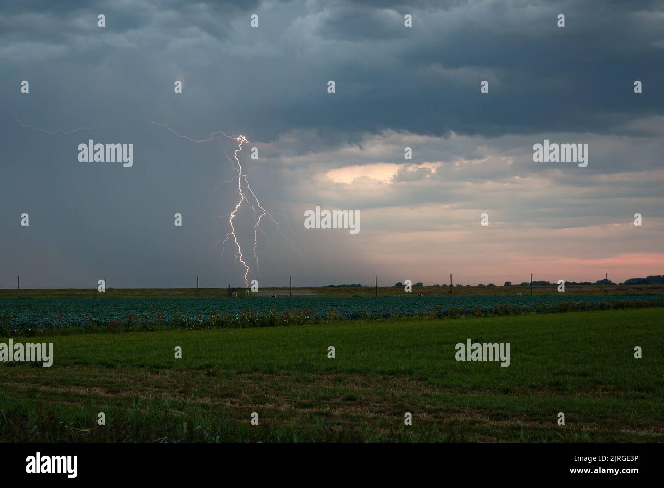 Lightning strikes down on the plains at dusk Stock Photo - Alamy