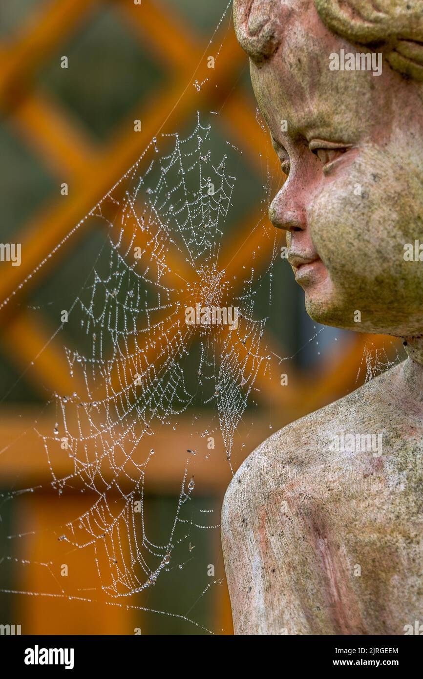 Spider web on statue hi-res stock photography and images - Alamy