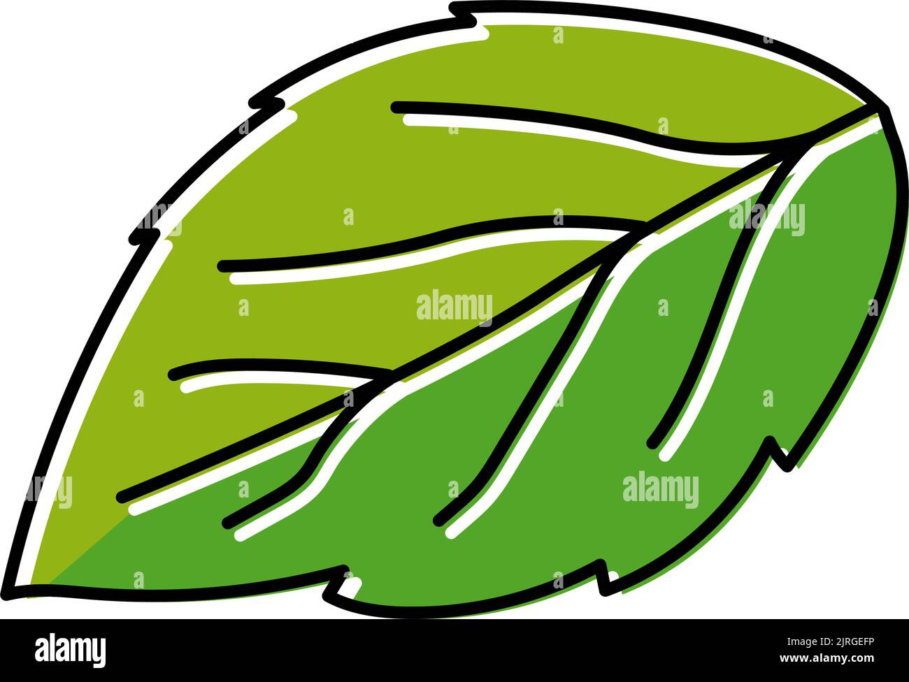 leaf raspberry green color icon vector illustration Stock Vector Image ...