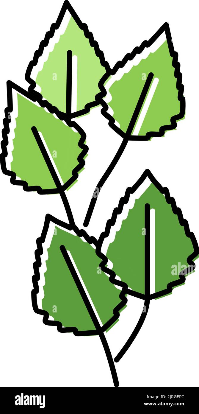 Birch tree color line Cut Out Stock Images & Pictures - Alamy