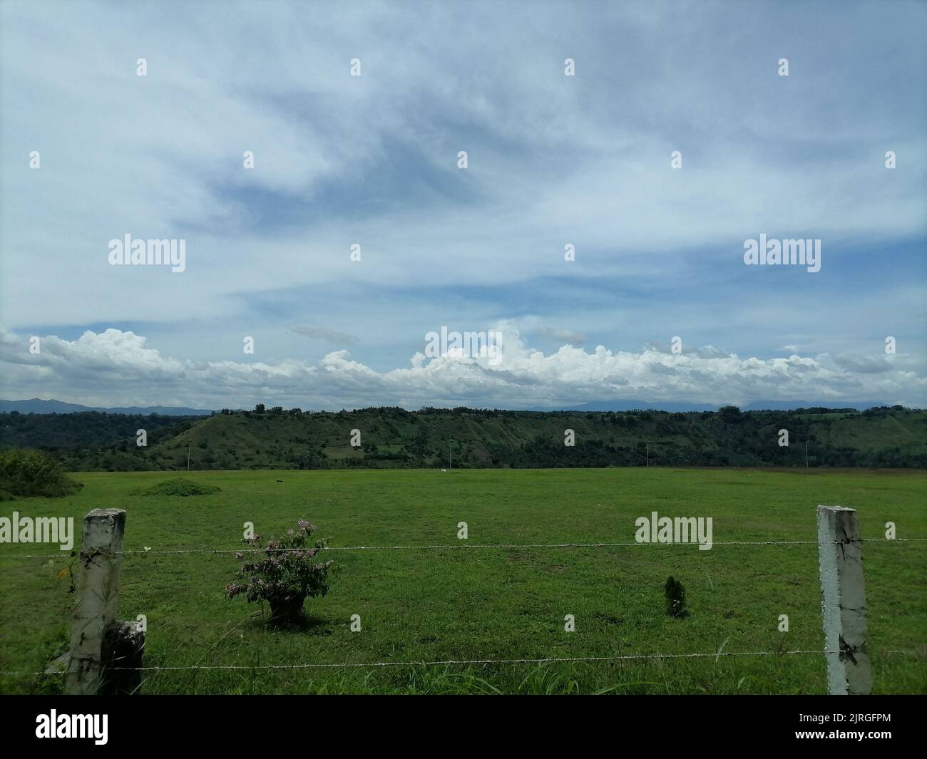 A relaxing view of a landscape in the countryside. Green scenery filled ...