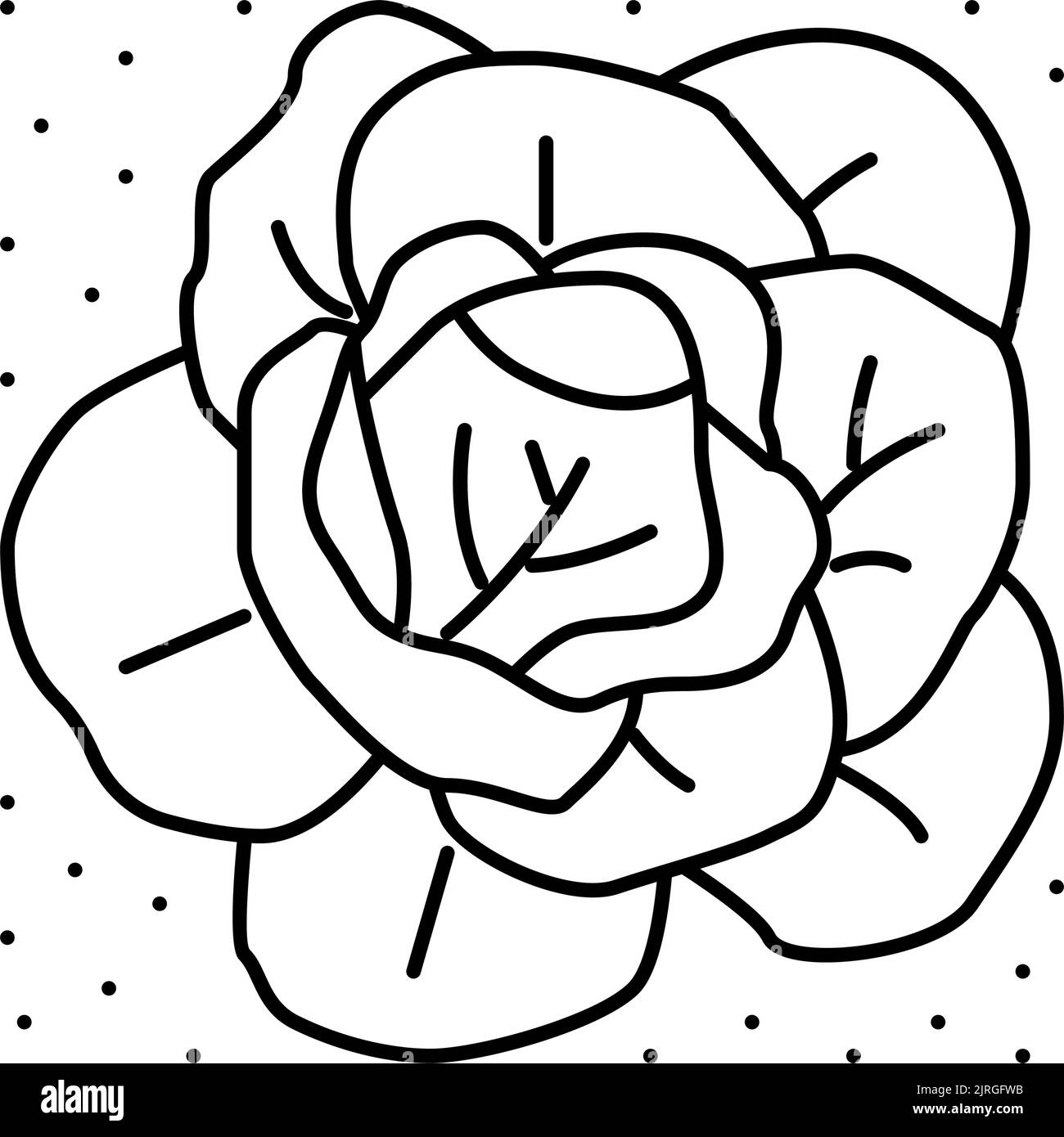 plant cabbage growing on farmland line icon vector illustration Stock ...