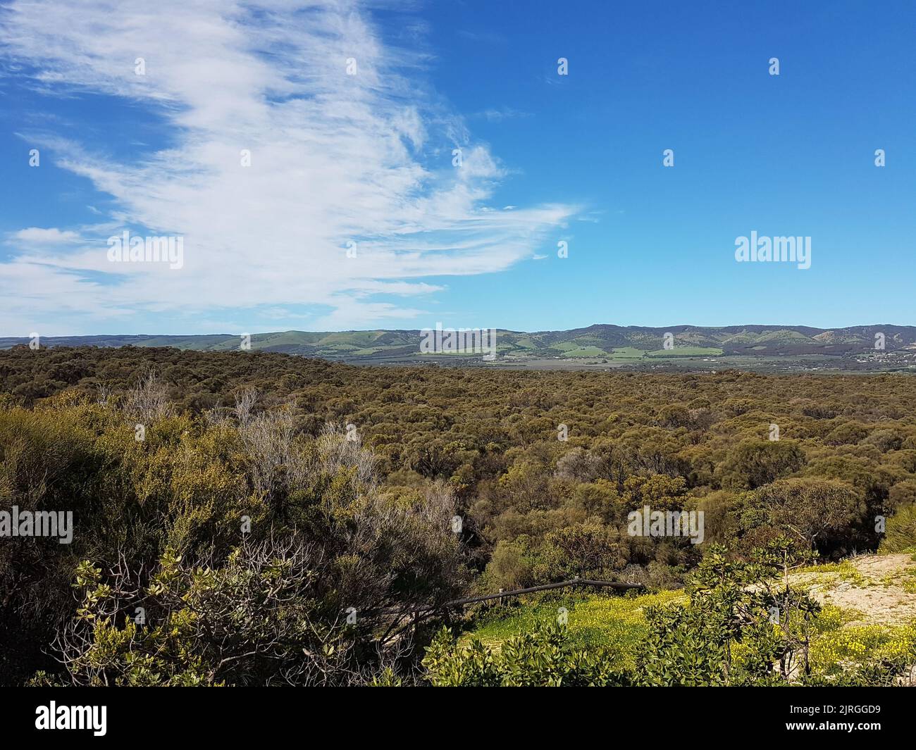 South Australia cenic outlook over Australian bush land Stock Photo - Alamy