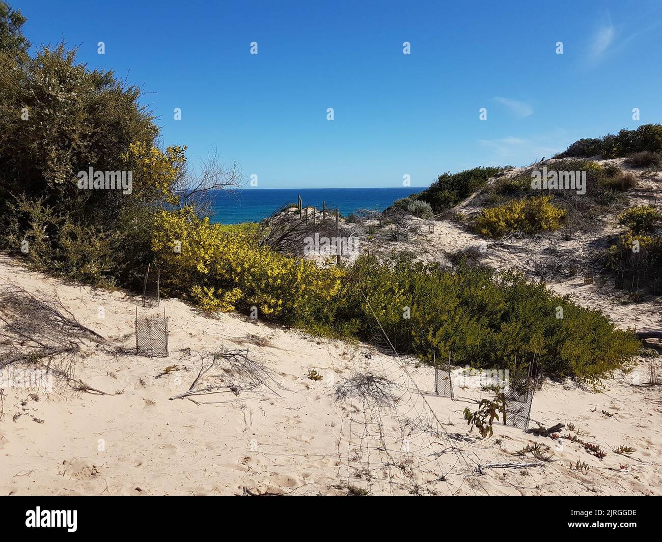 South Australia coastline walk across the sand dunes to reach the ocean ...