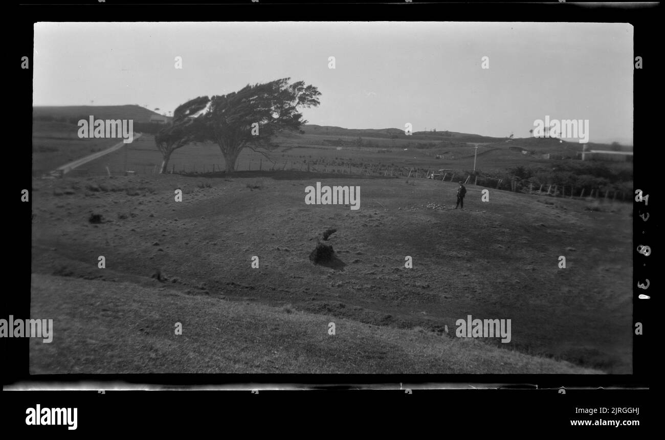Waikaura, 23 August 1931, by Leslie Adkin Stock Photo - Alamy