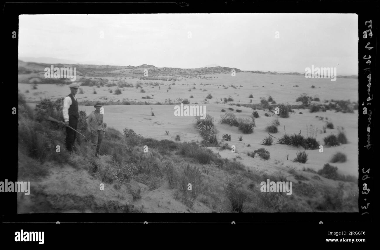 Site of te karangi swamp site of te karangi swamp hi-res stock ...