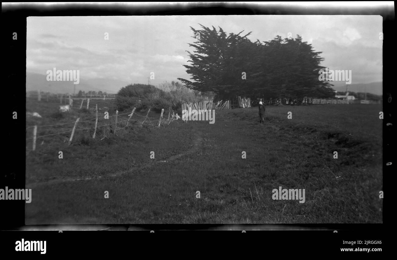 Te Puna, Otaki, 26 October 1931, by Leslie Adkin Stock Photo - Alamy