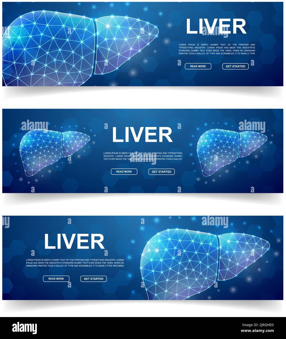 Set of three Liver horizontal banners. Horizontal illustration for ...