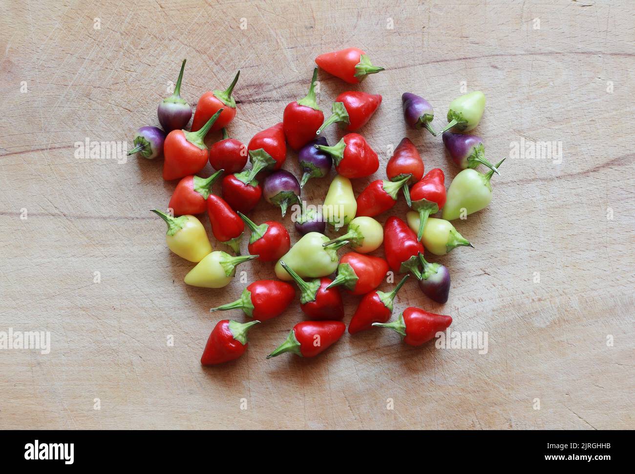 Ornamental chili pepper hi-res stock photography and images - Alamy