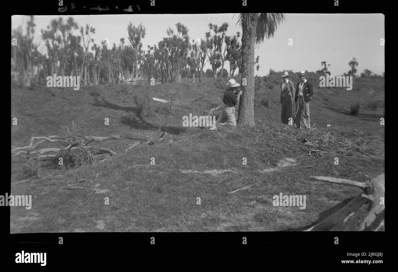 Pokapoka - an old native grave on the bank of Manawatu River at ...