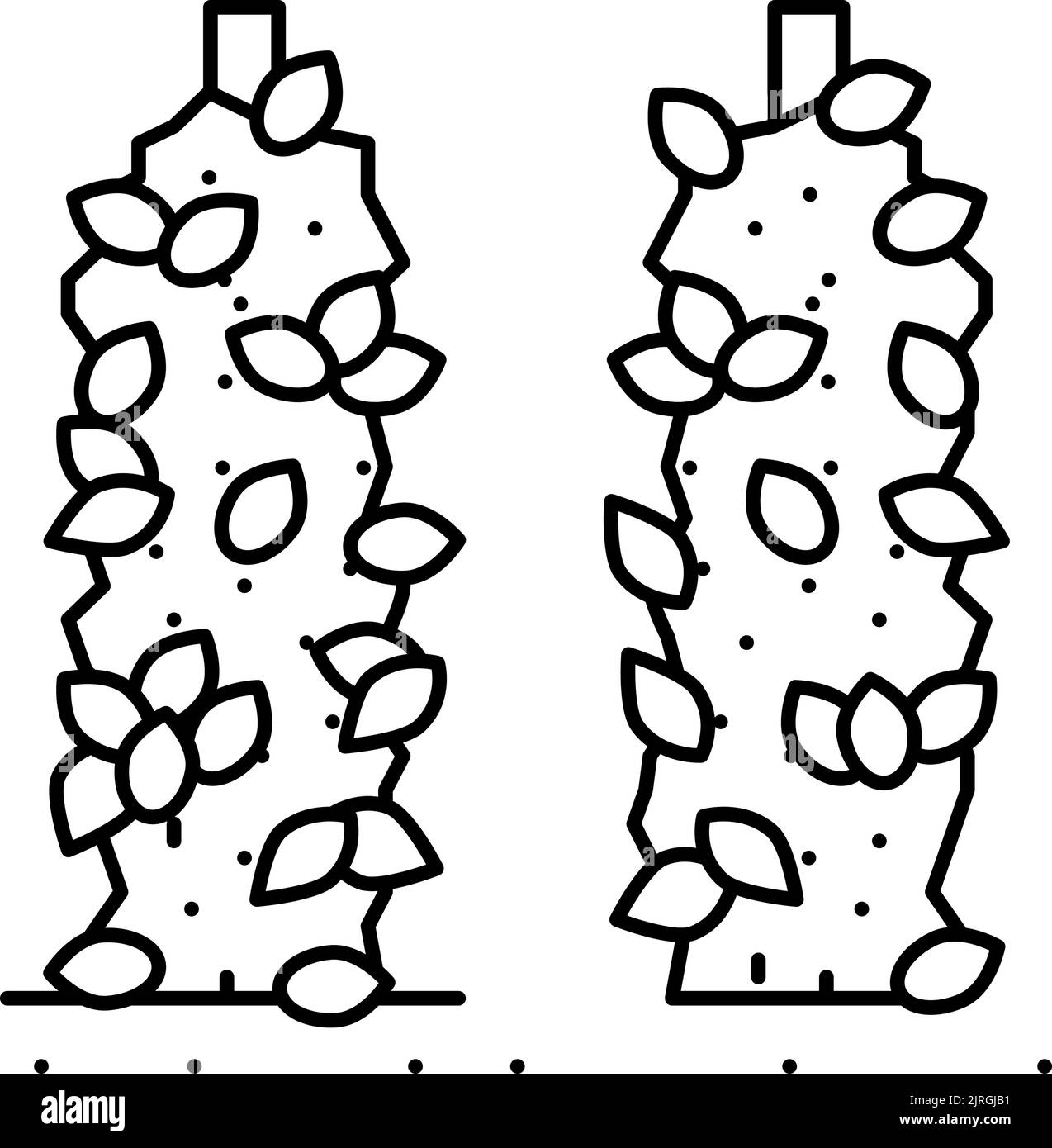 plant growing pepper line icon vector illustration Stock Vector Image ...