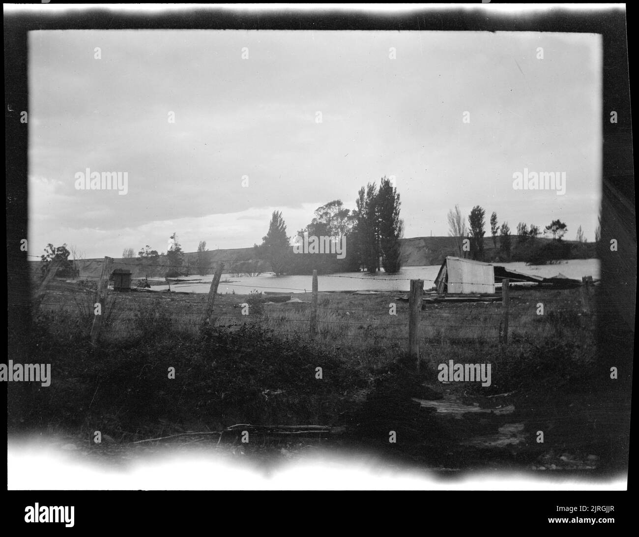 Waikare River dammed up, 1931, by Dr Patrick Marshall Stock Photo - Alamy