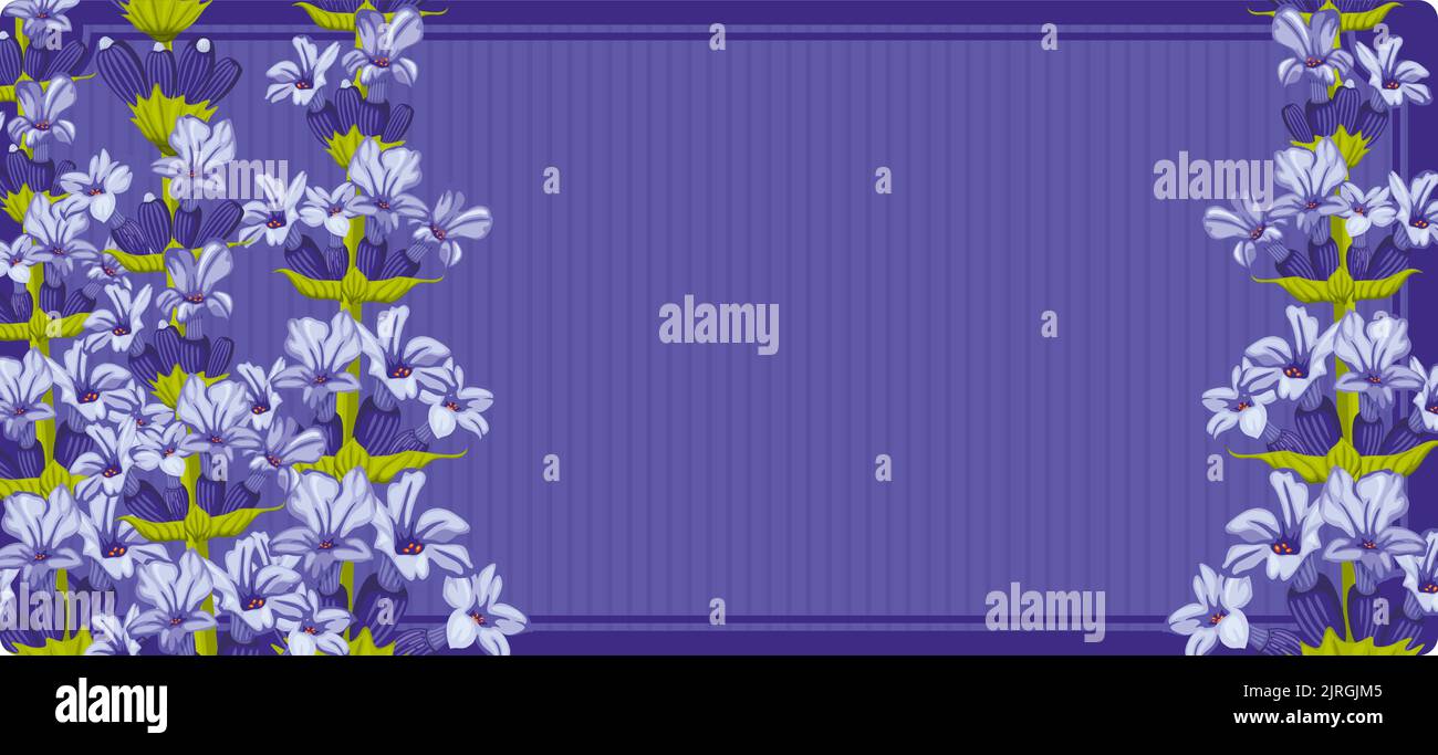 Purple flowers card background. Decorative floral template Stock Vector ...