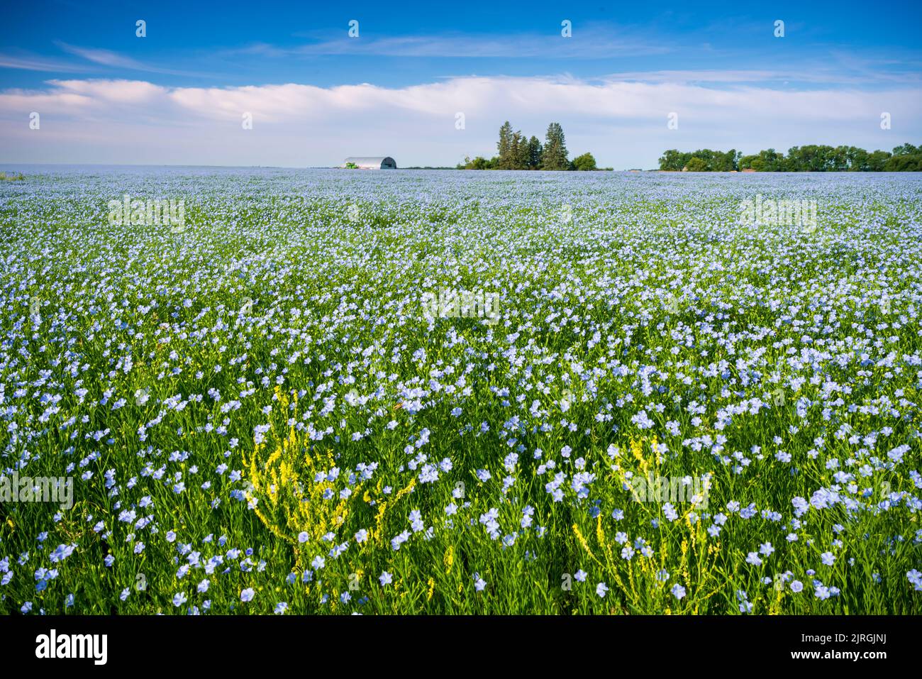Miami field hi-res stock photography and images - Alamy