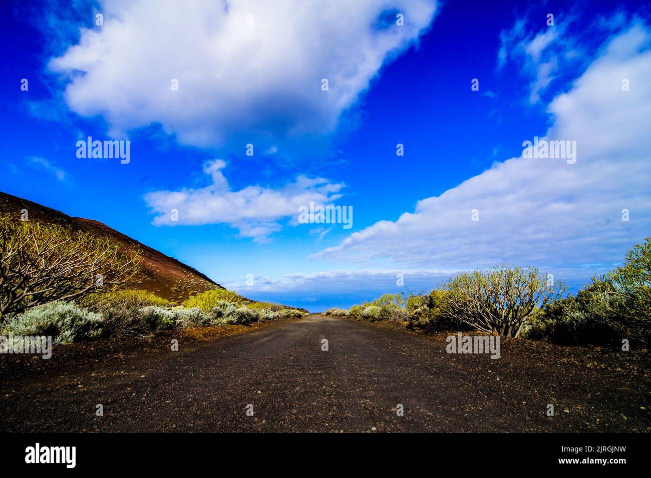 Long Straight Dirt Desert Road disappears into the Horizon Stock Photo ...
