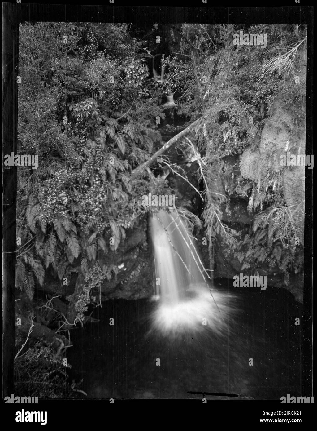Buller Road : Wayside stream, circa 1906, by Fred Brockett Stock Photo ...
