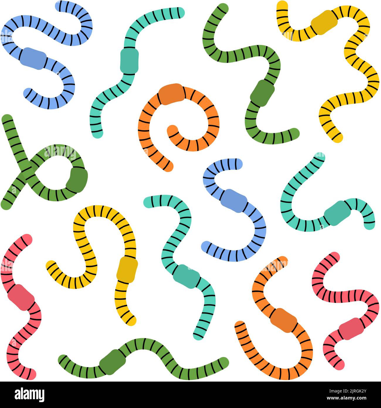 Colored earthworms set. Compost earthworms sketch. Terrestrial annelids ...