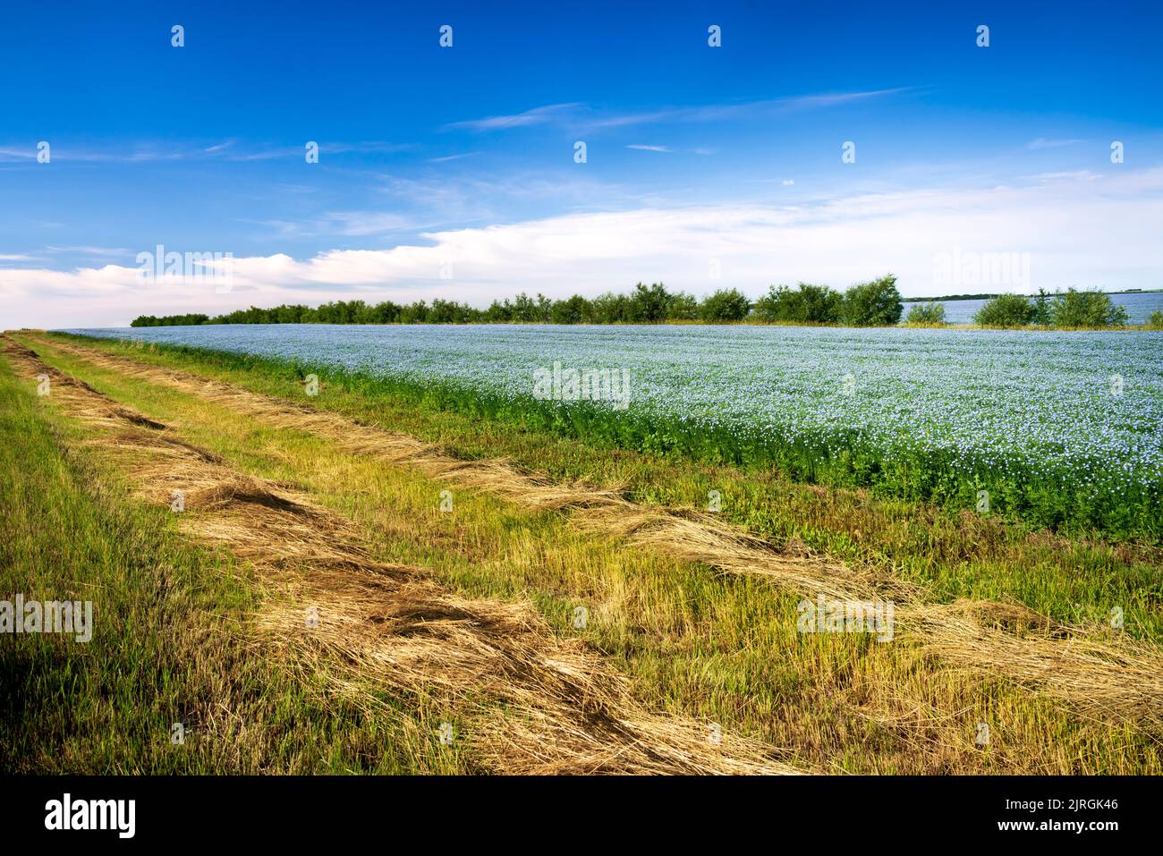 Miami field hi-res stock photography and images - Alamy