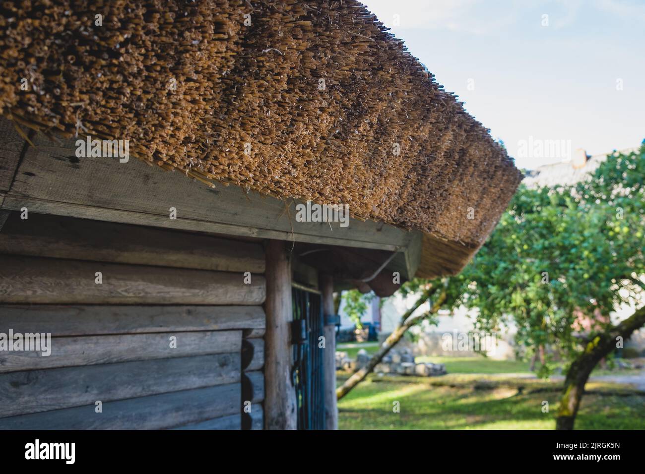Close-up of thick thatched roof made of dry straws. Historic building ...