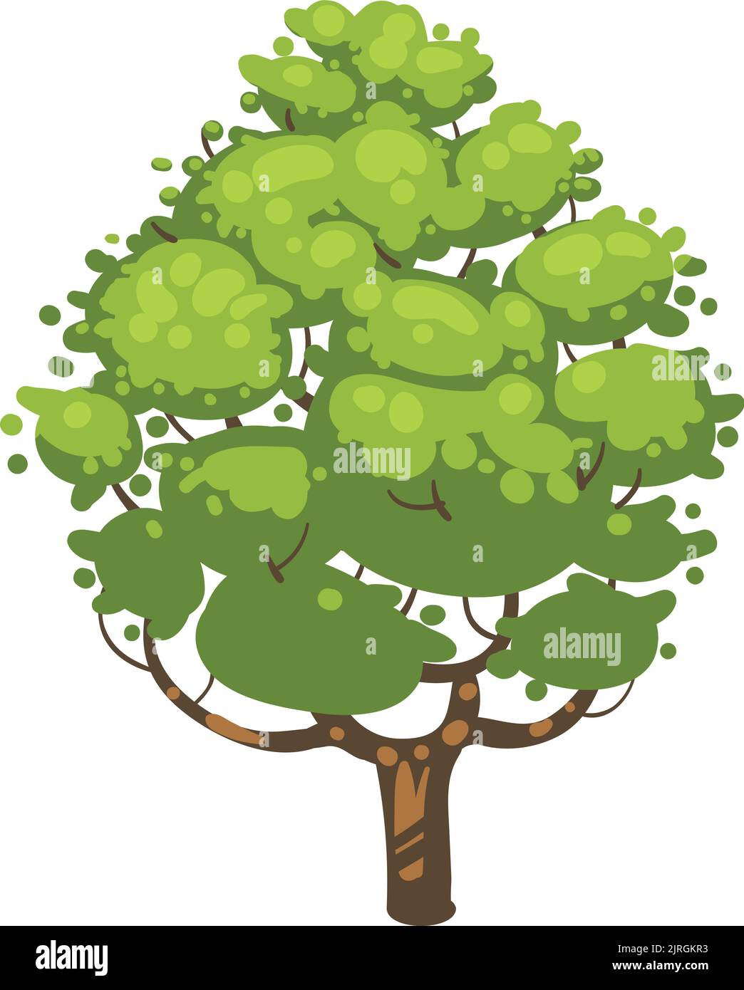 Linden Tree Symbolism
