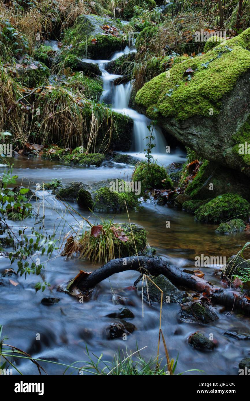 Water running down a hill over mossy rocks into a small pool with rocks ...