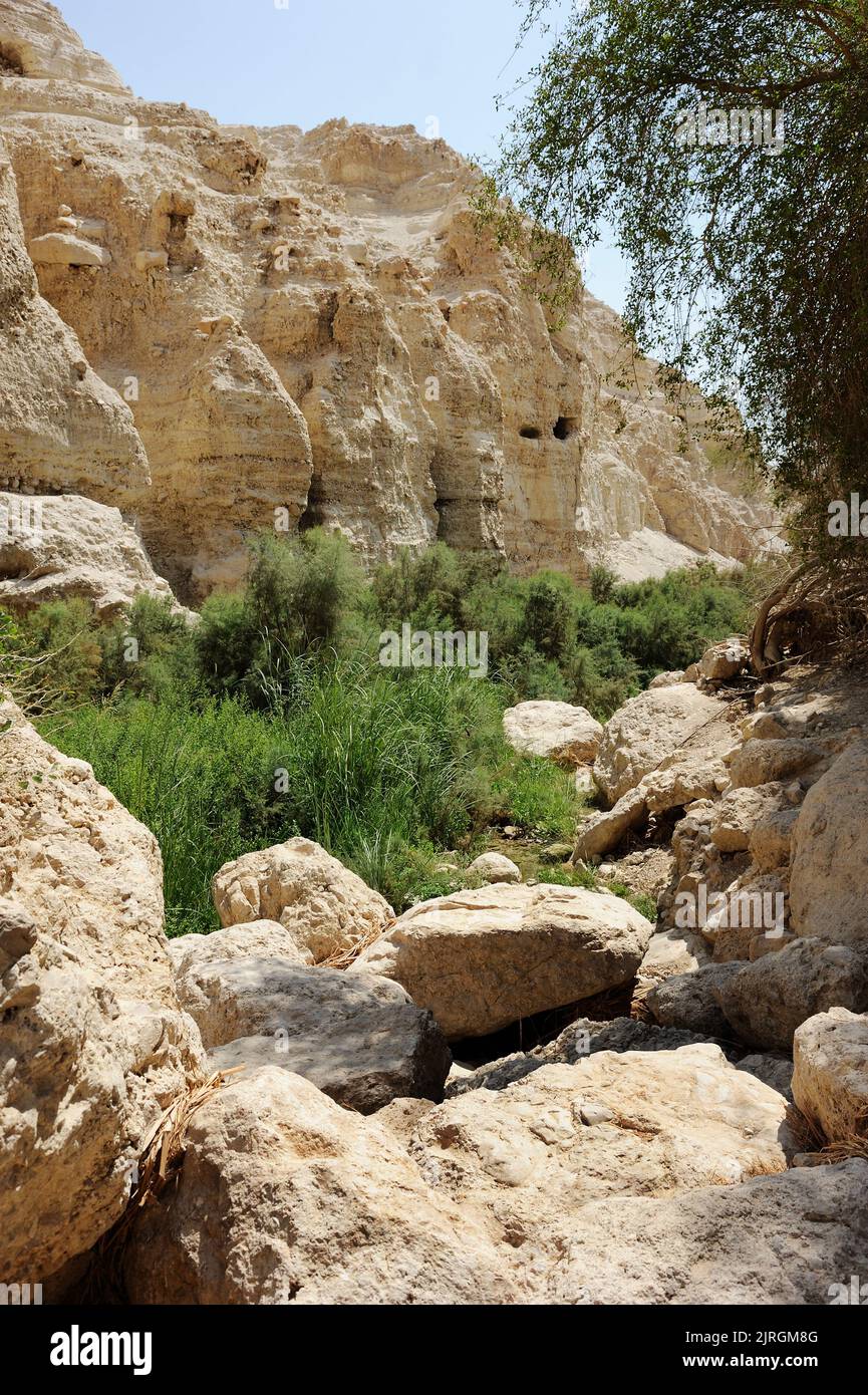 Streams and waterfalls Nature Reserve Ein Gedi at the Dead Sea in ...