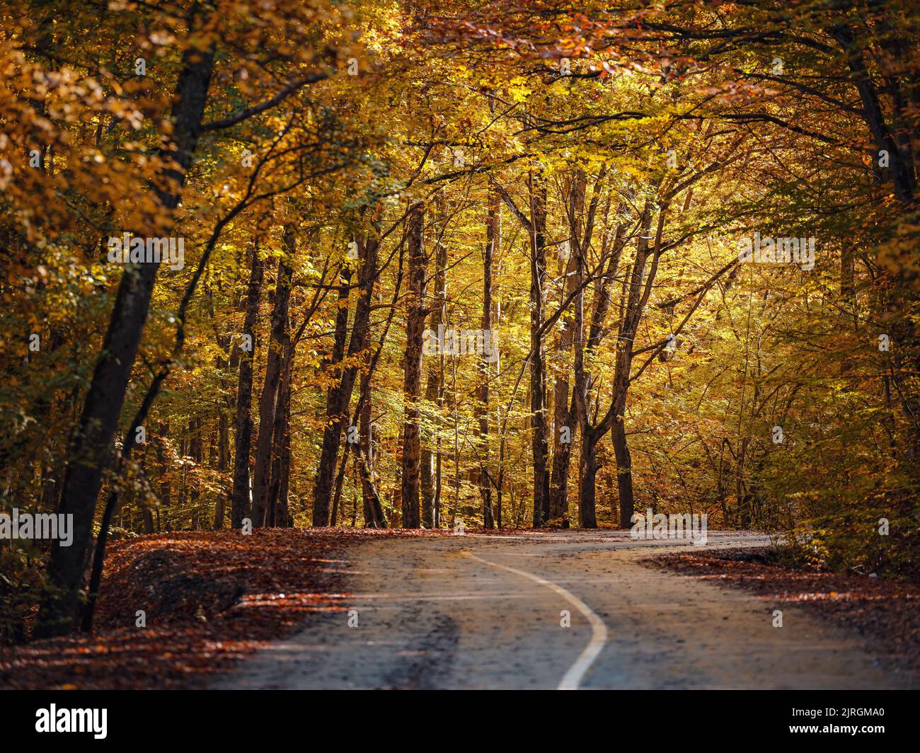 Travel, tourism, recreation concept in fall. Colorful landscape with ...