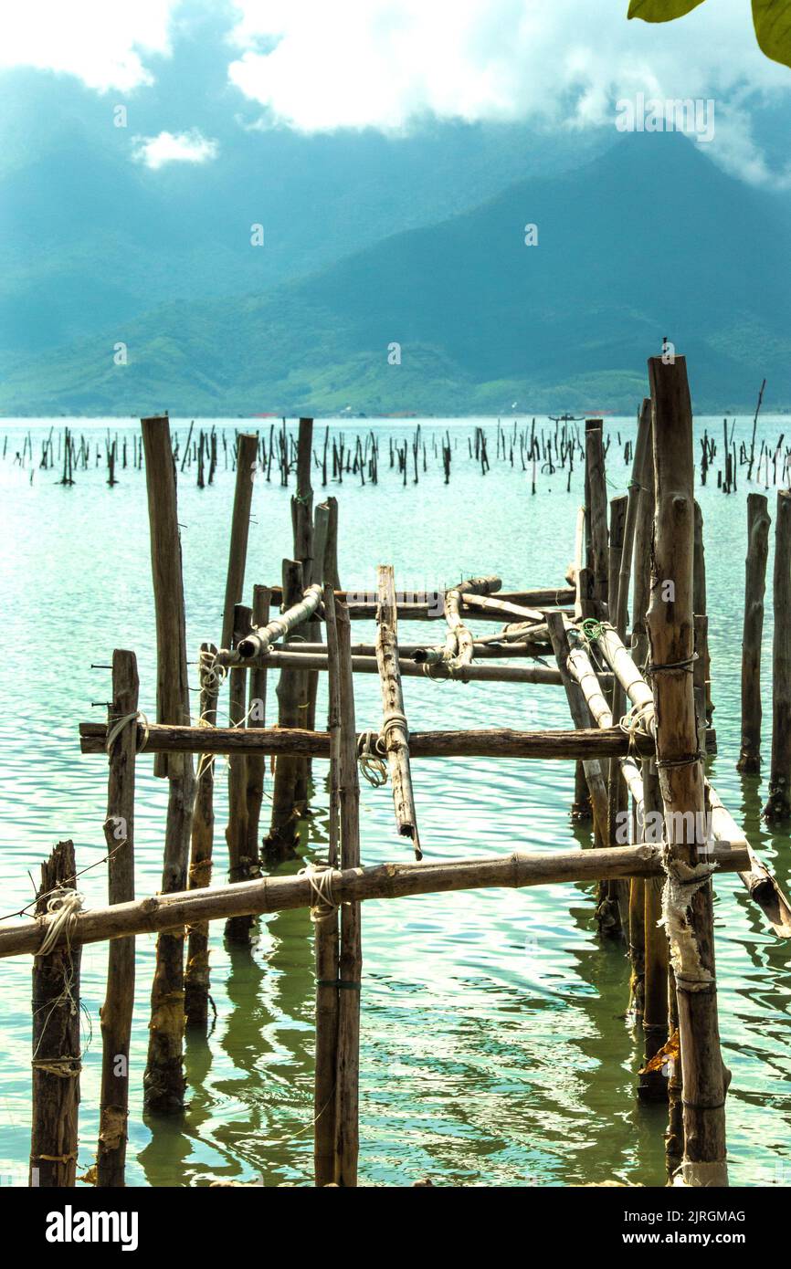 A vertical shot of wood pilings on the water surface against green ...