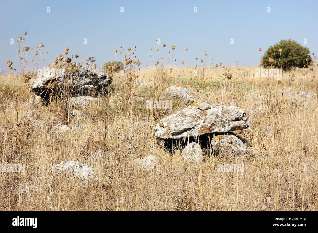 Gamla Nature Reserve in Israel - the ancient city and the tallest ...