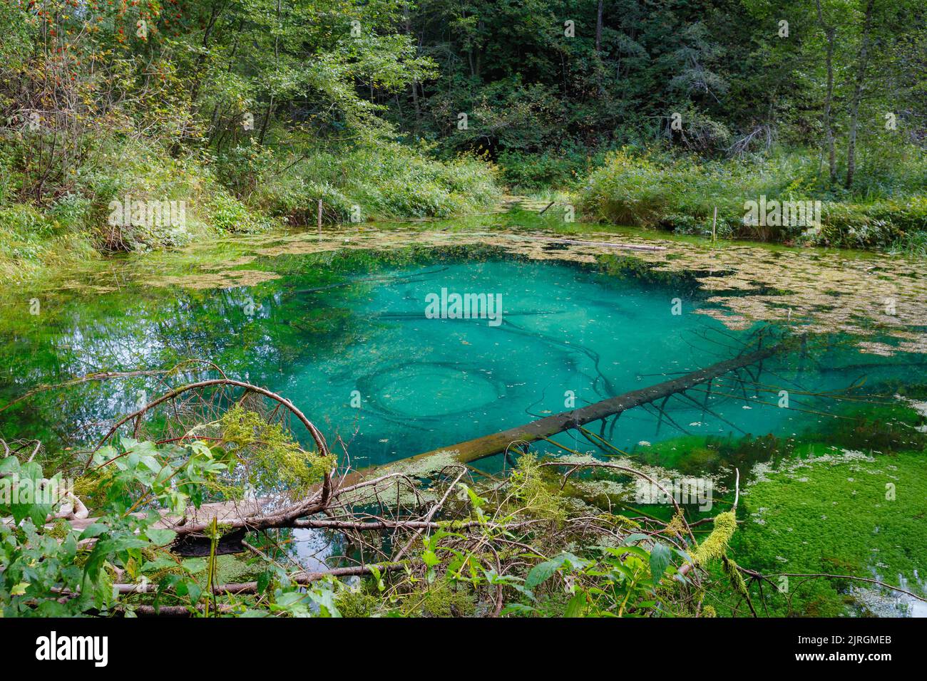 Saula cold pure fresh water blue spring, Estonia, Europe. Beautiful ...