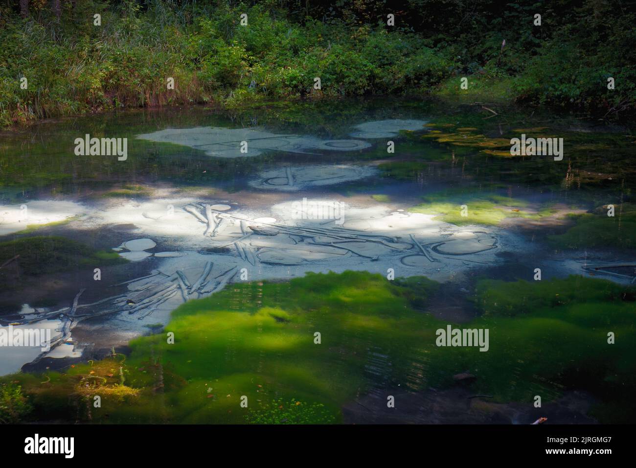 Saula cold pure fresh water blue spring, Estonia, Europe. Beautiful ...
