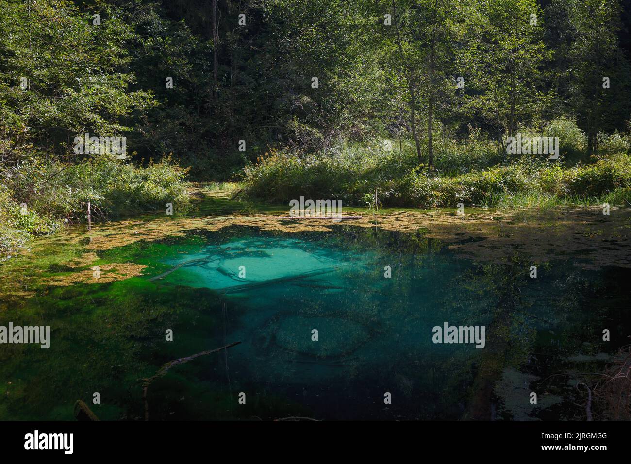 Saula cold pure fresh water blue spring, Estonia, Europe. Beautiful ...