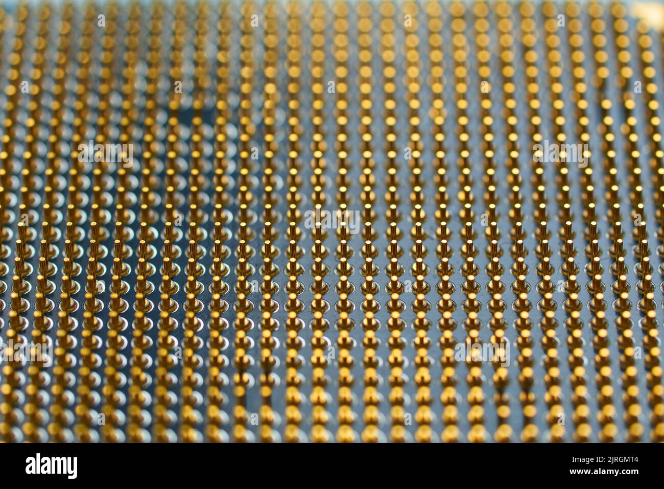 Microprocessor on white background. golden pins facing up. The concept ...