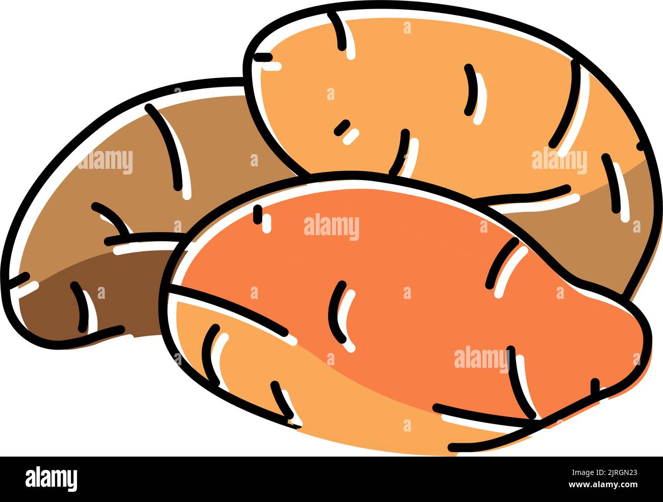 sweet potato vegetable color icon vector illustration Stock Vector ...