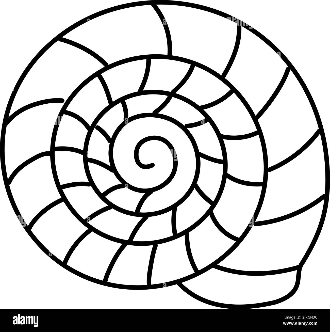 spiral seashell beach line icon vector illustration Stock Vector Image ...