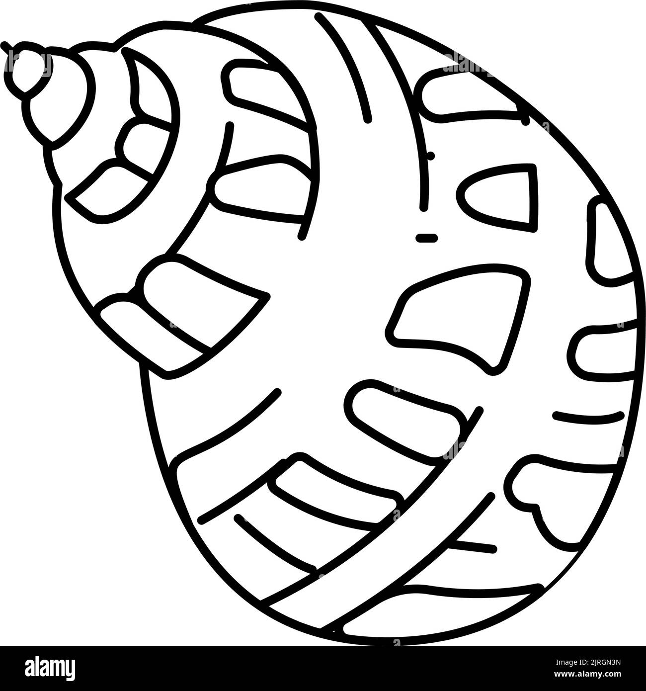 babylon sea shell beach line icon vector illustration Stock Vector ...
