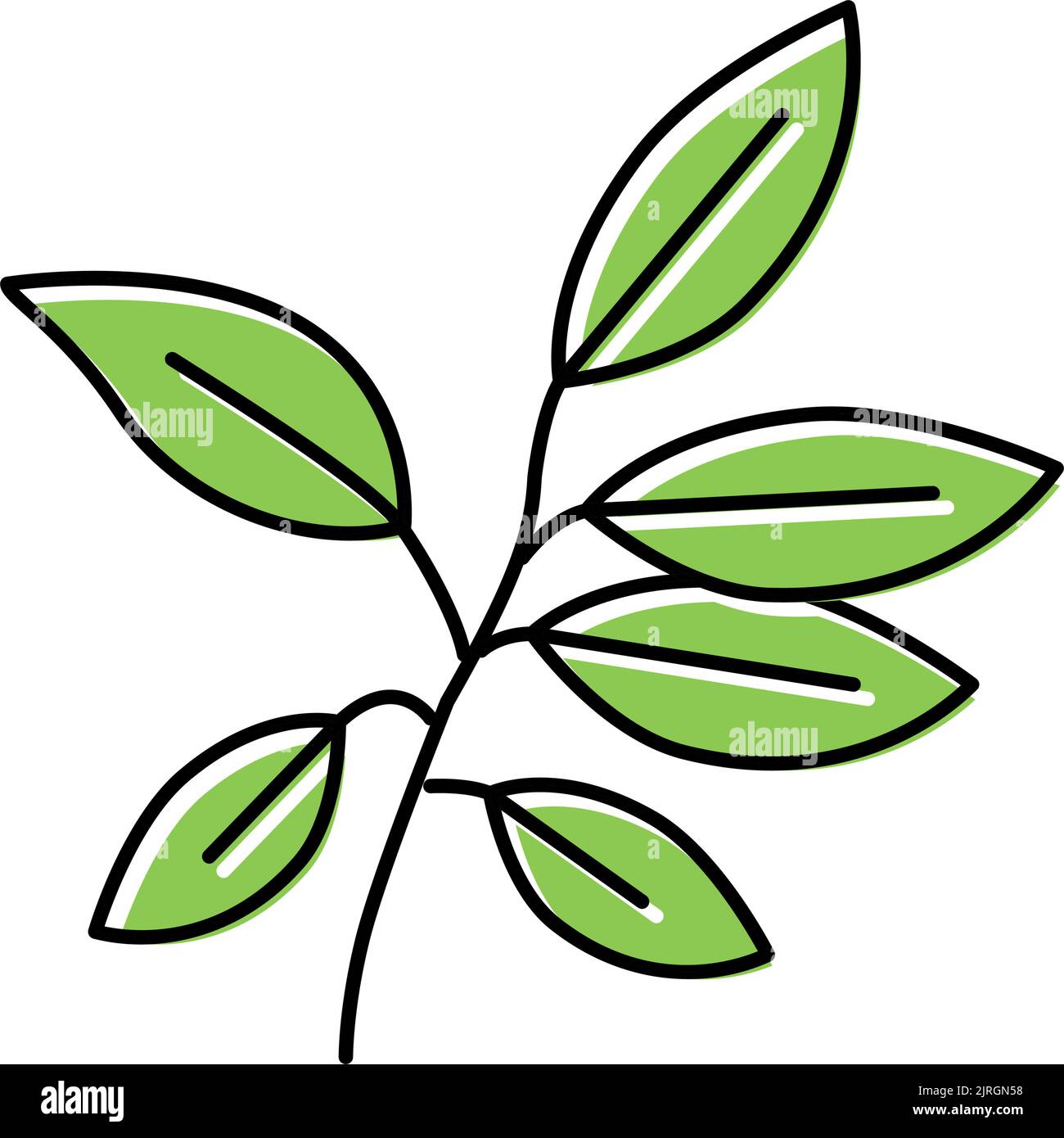 ebony leaf color icon vector illustration Stock Vector Image & Art - Alamy