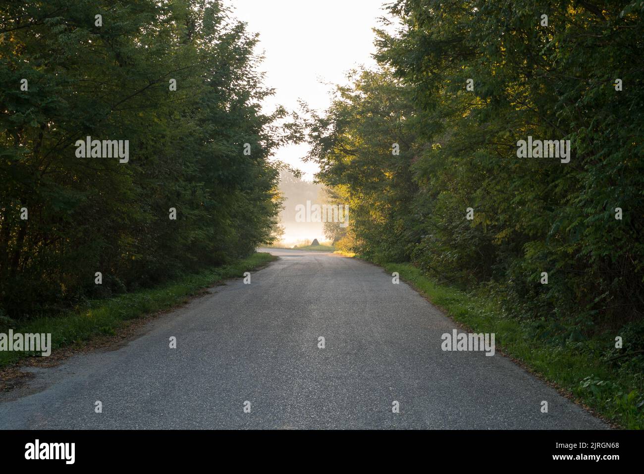The road, which at the bend is illuminated by sunlight. It represented ...