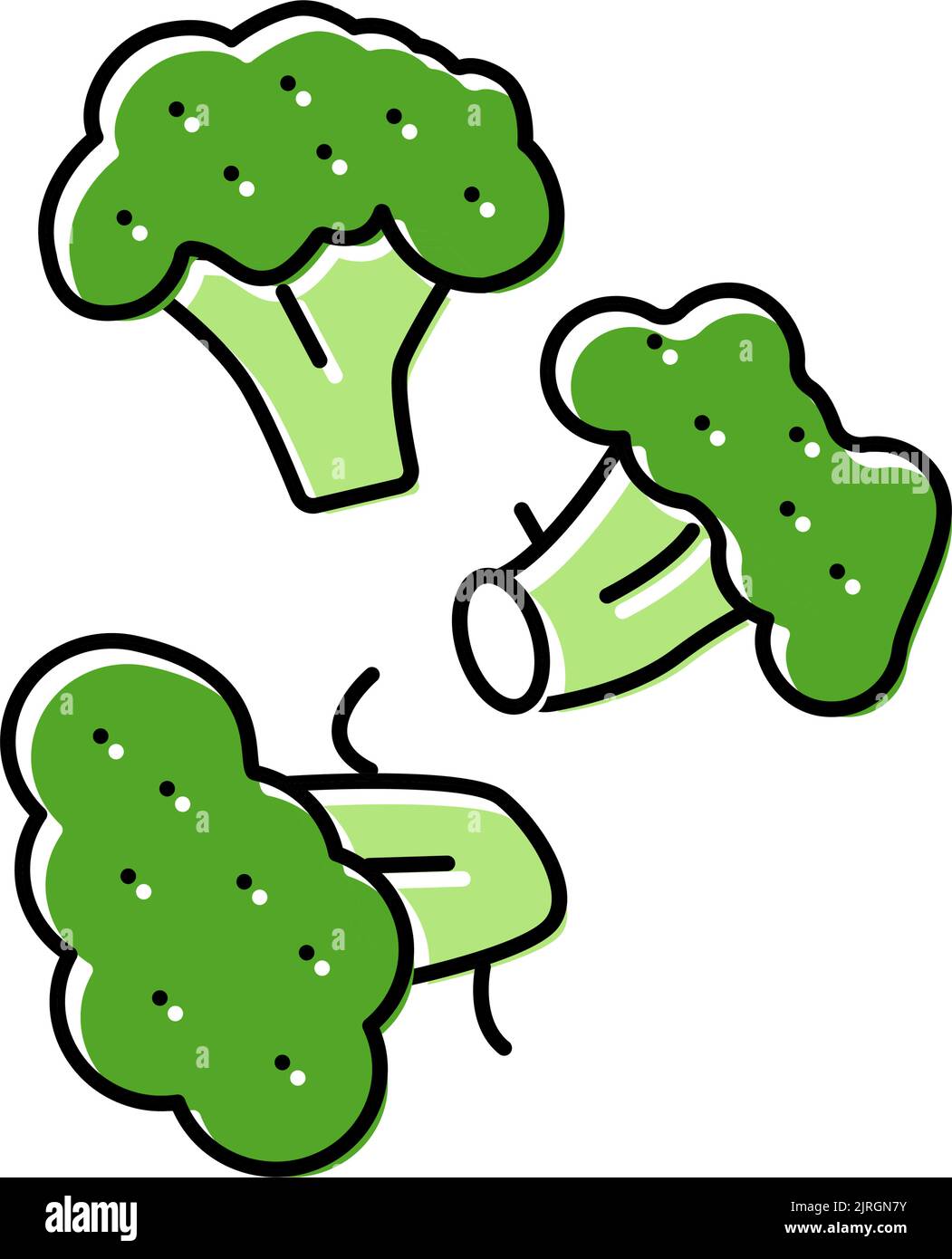 broccoli slice food cut color icon vector illustration Stock Vector ...