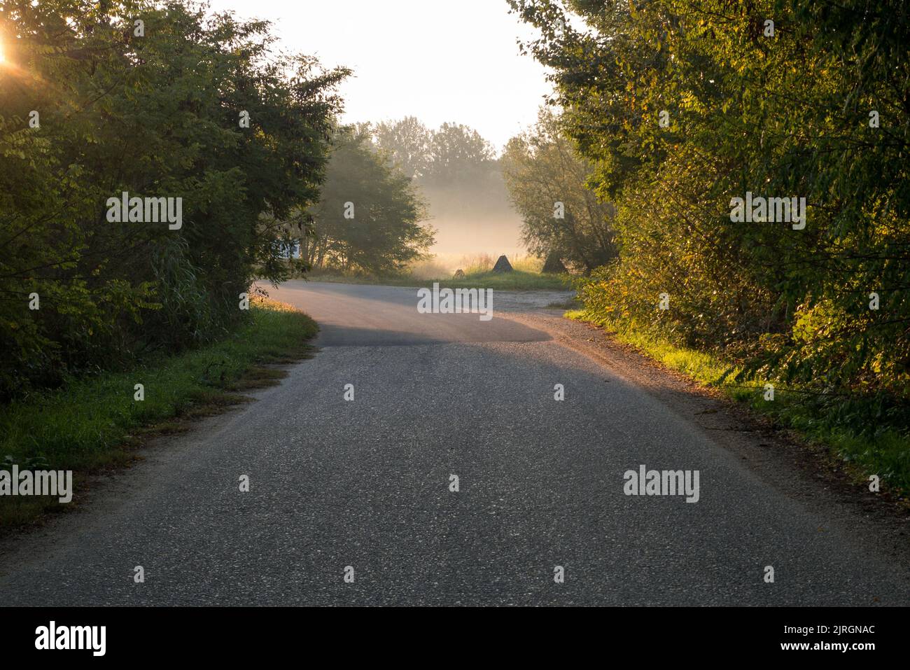 The road, which at the bend is illuminated by sunlight. It represented ...